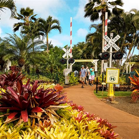 A Visit To Dole Plantation Pineapple Paradise Aloha Lovely