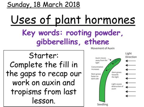 Plant Hormones AQA GCSE Biology Teaching Resources