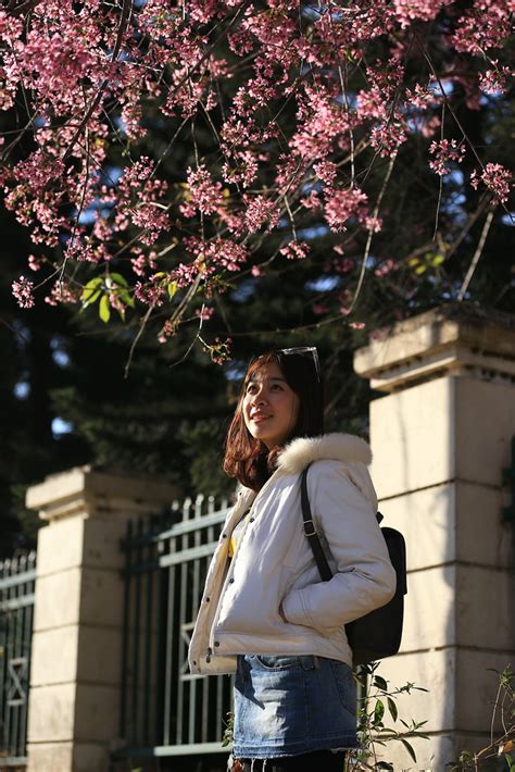 Img Nguyen Nguyen Flickr