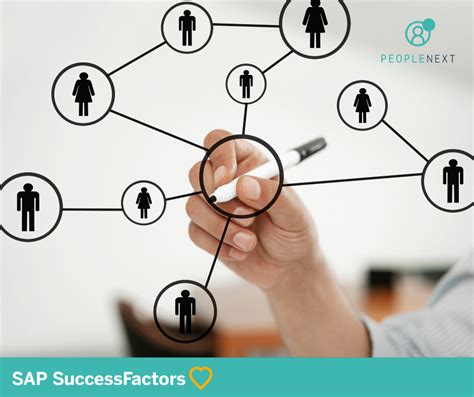 Organigrama De Una Empresa 7 Pasos Clave Para Crearlo