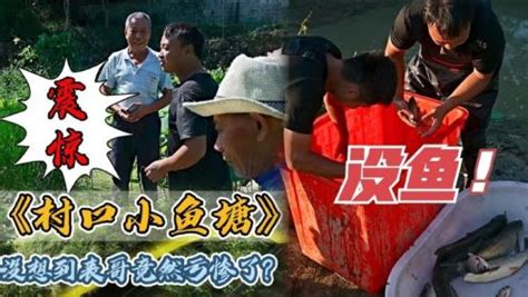 今天花600包村口的一个老鱼塘没想到最后表哥竟然亏惨了 高清1080P在线观看平台 腾讯视频