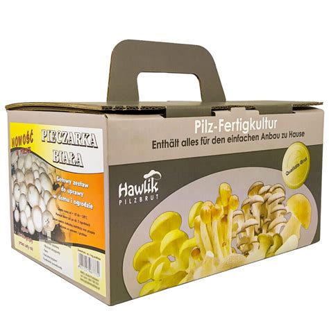 Pieczarka Biała Grzybnia gotowe podłoże hodowlane 5 kg