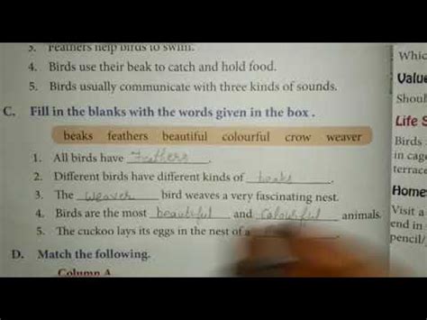 Birds Beaks And Claws Youtube