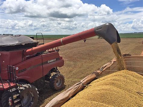 Safras reduz estimativa de produção de soja em 21 22