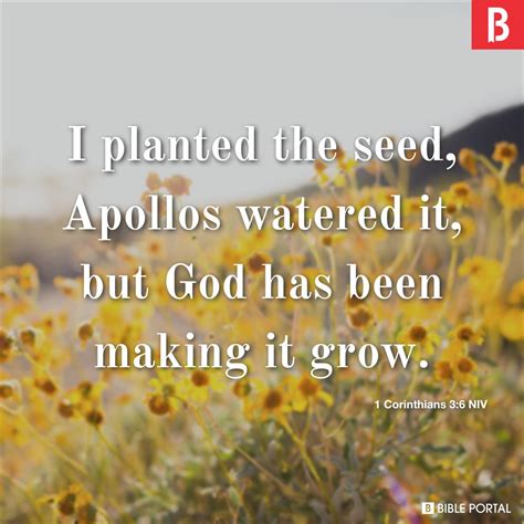 Biblical Scriptures About Planting Seeds