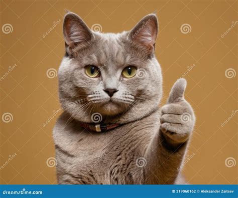 A Cat Is Giving A Thumbs Up Sign Stock Illustration Illustration Of