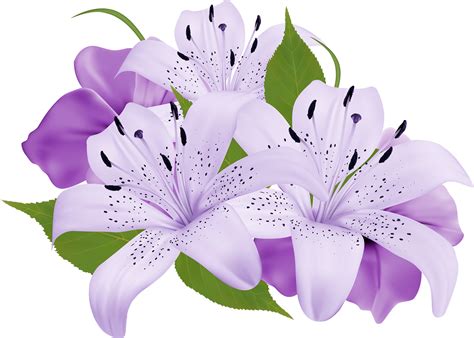 Purple Lilies Flower Clipart Flower Drawing Flower Art