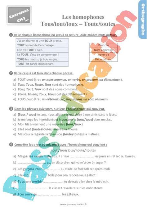 Evaluation avec le corrigé pour le CM2 Les homophones lexicaux tout