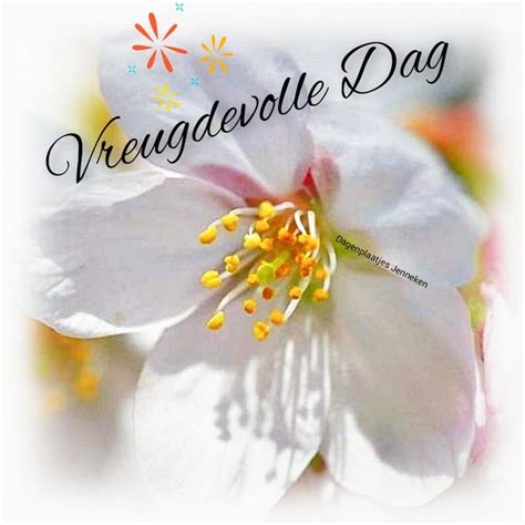 Pin Van Annelies Monsma Bruggers Op Goedemorgen Goedemorgen Bloemen