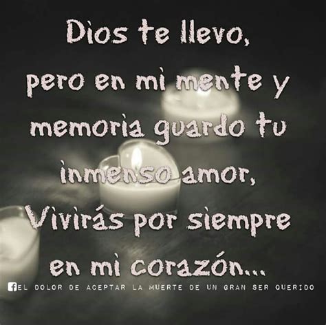 Dios Te Llevo Pero En Mi Mente Y Memoria Guardo Tu Inmenso Amor Viviras