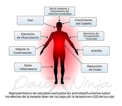 10 Beneficios 3 Secretos De La Terapia Con Luz Roja