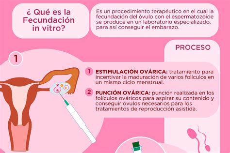 Mapa Mental De La Fecundacion Rejos Porn Sex Picture