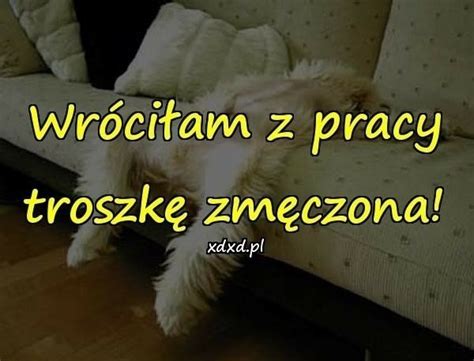Śmiech na etacie najlepsze memy o pracy Sprawdź co tym razem