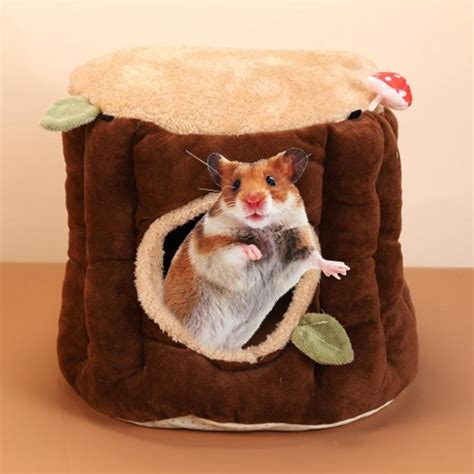 Hamac Pour Rat Fait Maison Ventana Blog