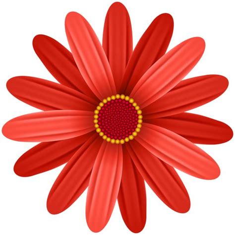 An Image Of A Red Flower That Is On The White Background For Use In Web