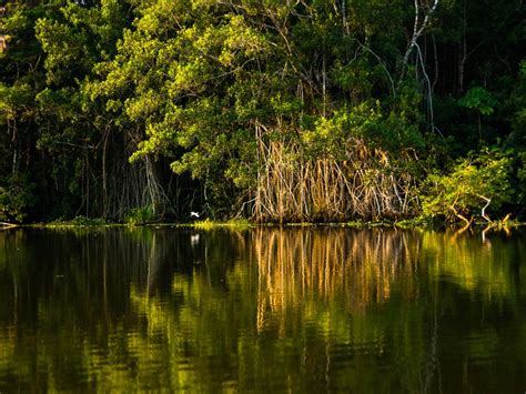 Ecuador Presenta Destinos Imperdibles En El D A Mundial Del Turismo