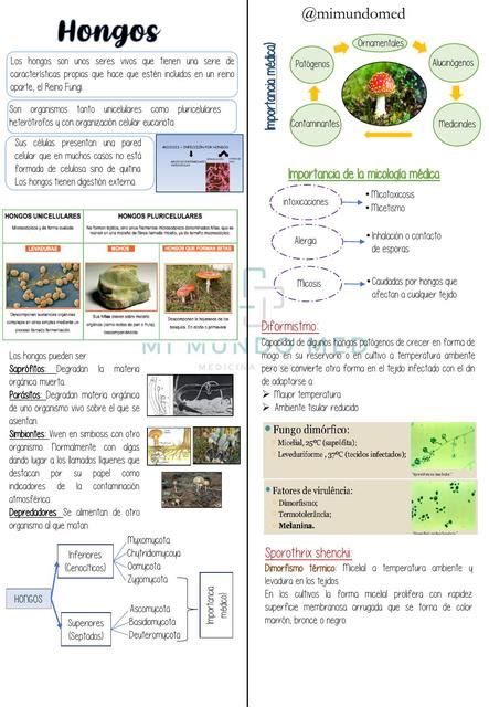 Hongos Mi Mundo Med UDocz