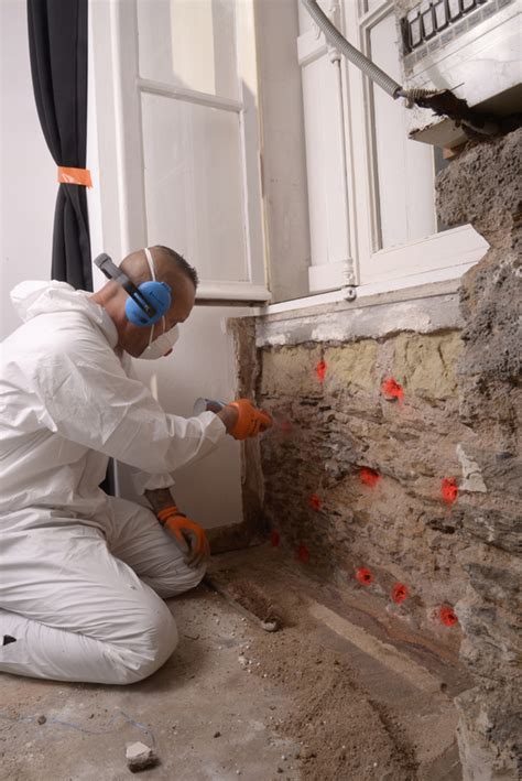 Traitement Du Salp Tre Et Des Moisissures O C P C