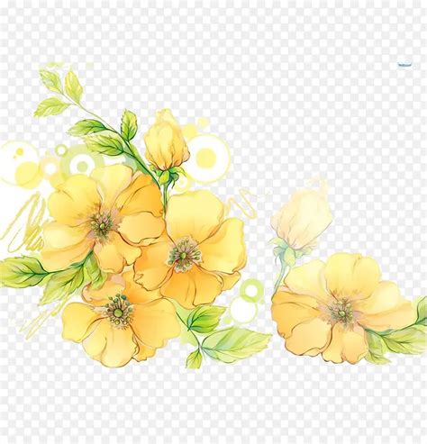 Png Png