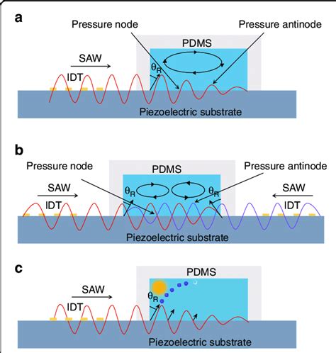 schematic diagrams of different types of surface acoustic waves a download scientific diagram