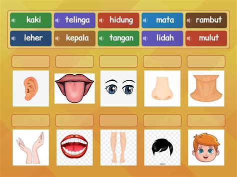 DIRIKU Anggota Tubuh Match Up