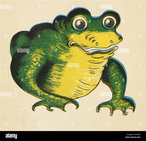 Frog Reading A Book Clipart Public Domain