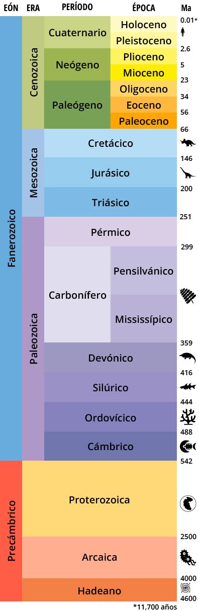3 Esquematización de las cuatro eras geológicas establecidas