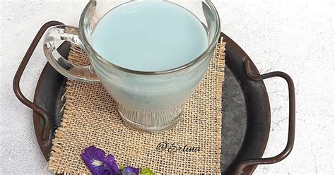 Resep Butterfly Pea Milk Oleh Erlina Cookpad