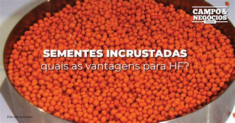 Sementes Incrustadas Quais As Vantagens Para HF Revista Campo