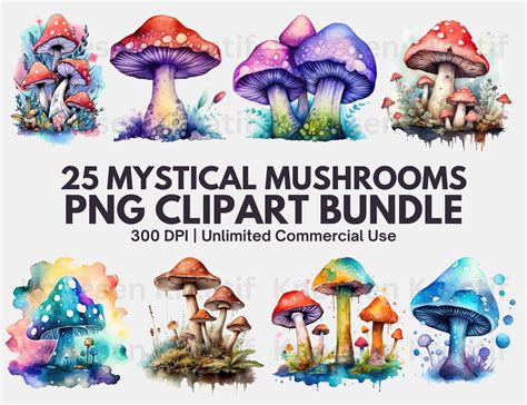 Mushroom Watercolor Clipart Watercolor Forest Art Fantasy Etsy