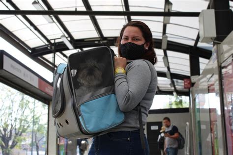 Metrobús CDMX on Twitter Las mascotas también viajan en Metrobús Su