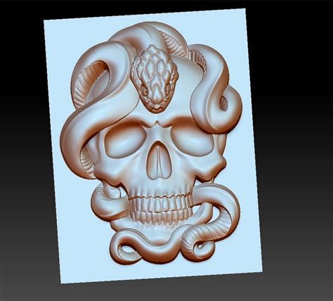 Free STL File Skull Model Of Bas Relief 3D Printable Design To