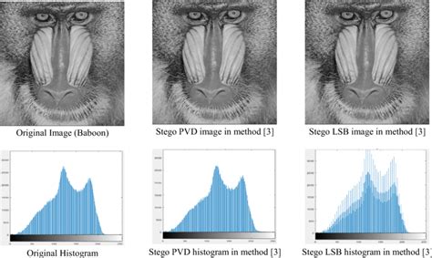 comparison of pvd histogram and lsb histogram original image baboon download scientific