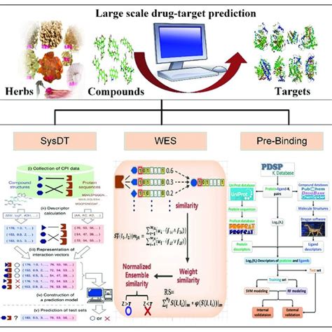 design processes of the drug combination prediction approach download scientific diagram
