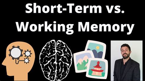 the difference between short term memory and working memory youtube