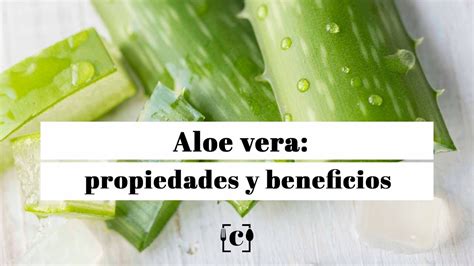 Aloe Vera Propiedades Beneficios Y Valor Nutricional YouTube