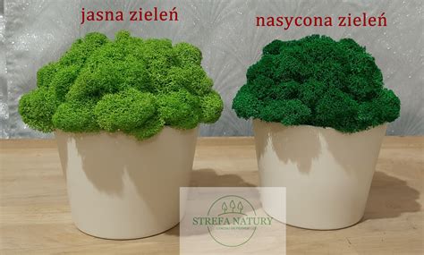 Dekoracja z mchem Mech StrefaNatury pro chrobotek żywe obrazy z