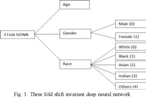 figure 1 from three fold classification using shift invariant deep neural network semantic scholar