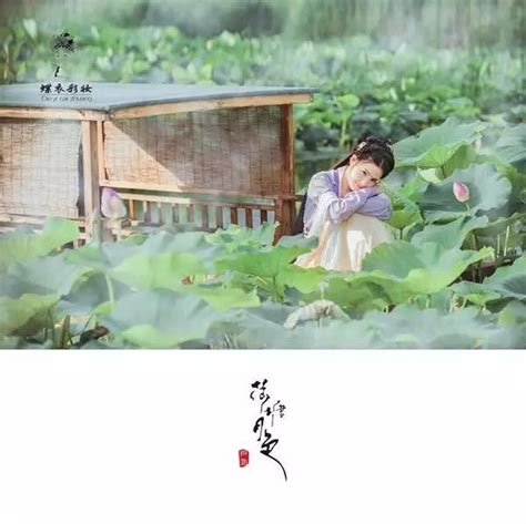 汉服美图做一个如莲花般的女子出淤泥而不染濯清涟而不妖 汉唐服装网