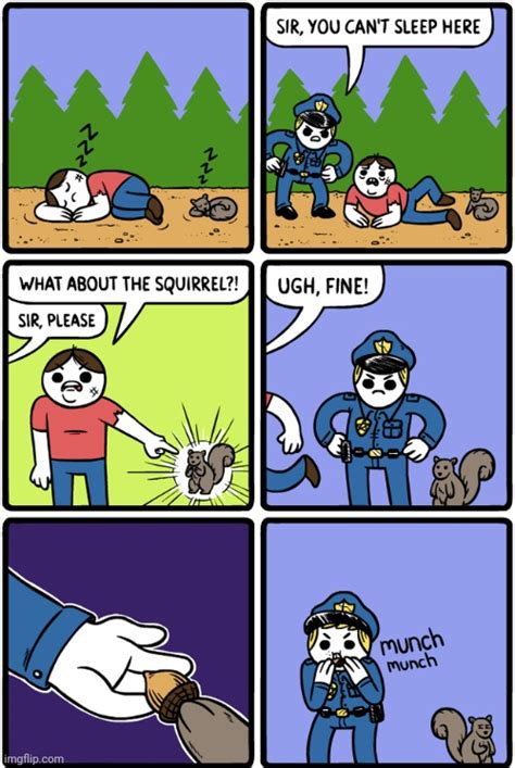 Squirrel Imgflip