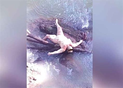 Encuentran en el Muelle de San Carlos el cadáver de una mujer TN8 tv