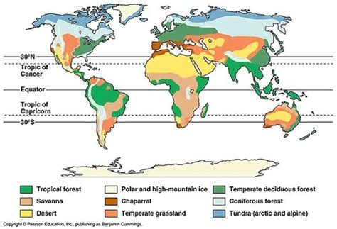 Climate And Natural Vegetation Flashcards Quizlet