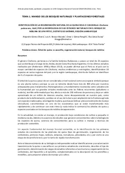 Identificación de la regeneración natural de la quina roja o cascarilla