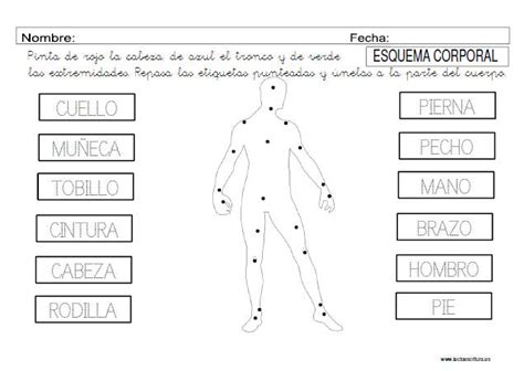 Ficha De Esquema Corporal