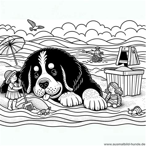 Ausmalbild Hunde Berner Sennenhund Kostenlose Ausmalbilder