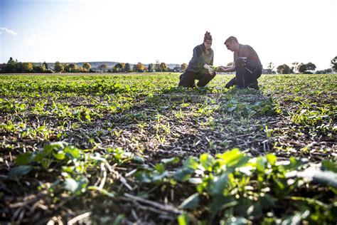 Sustainable Agriculture With No Till Farming Kansas Living Magazine
