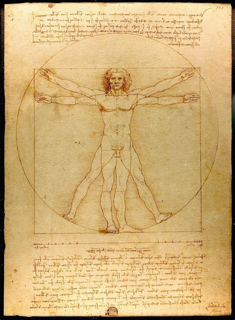 Overview Of Anatomy And Physiology Boundless Anatomy And Physiology