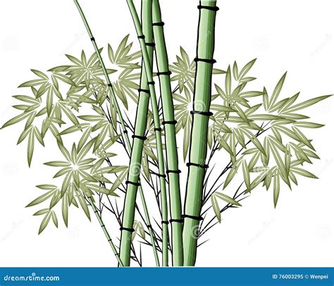 Top Dessin Bambou Chinois Inspirasi Spesial