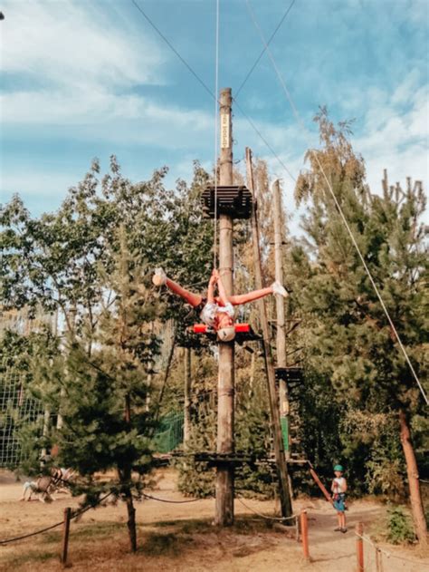 Miejsce na atrakcje dla dzieci Park linowy w Gdańsku Park linowy