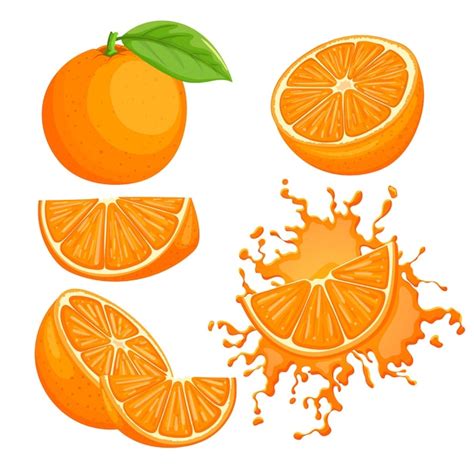 Ilustração em vetor de desenho animado conjunto de frutas laranja